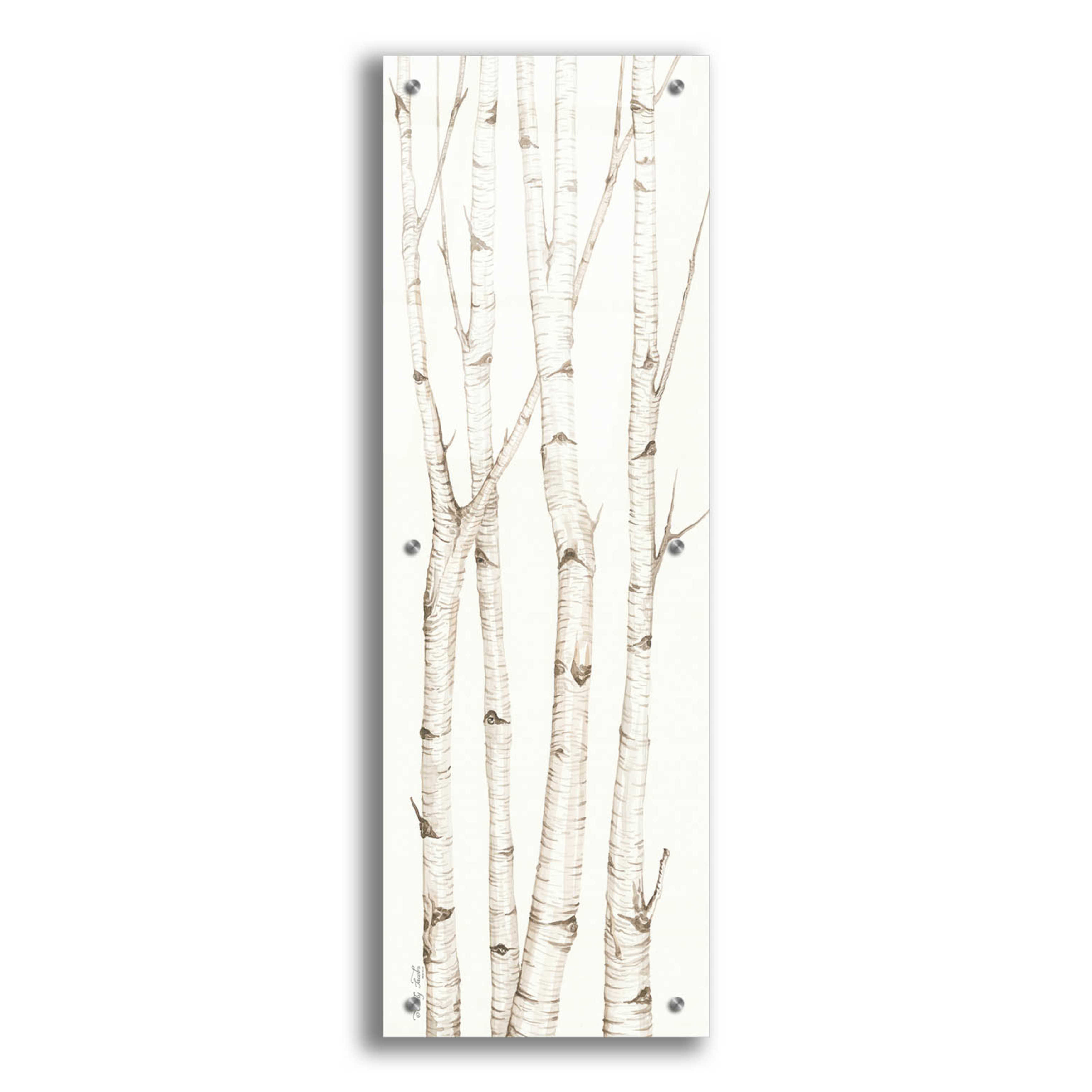 Millwood Pines Birch Trees III by Cindy Jacobs - Unframed Panoramic ...