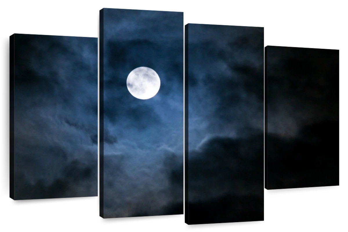 Ebern Designs Oberle Majestic Full Moon | Wayfair