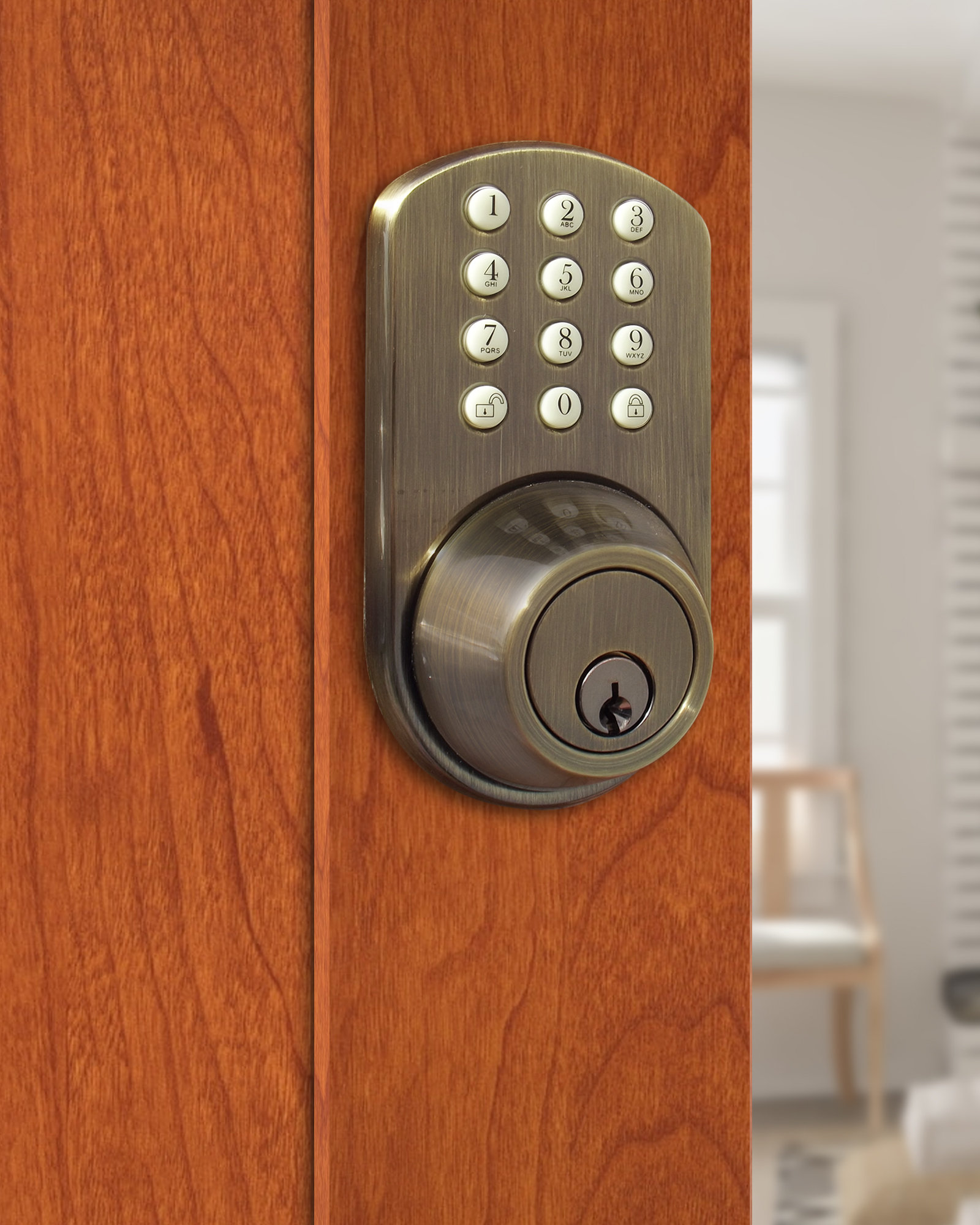 Milocks Electronic Deadbolt & Reviews | Wayfair