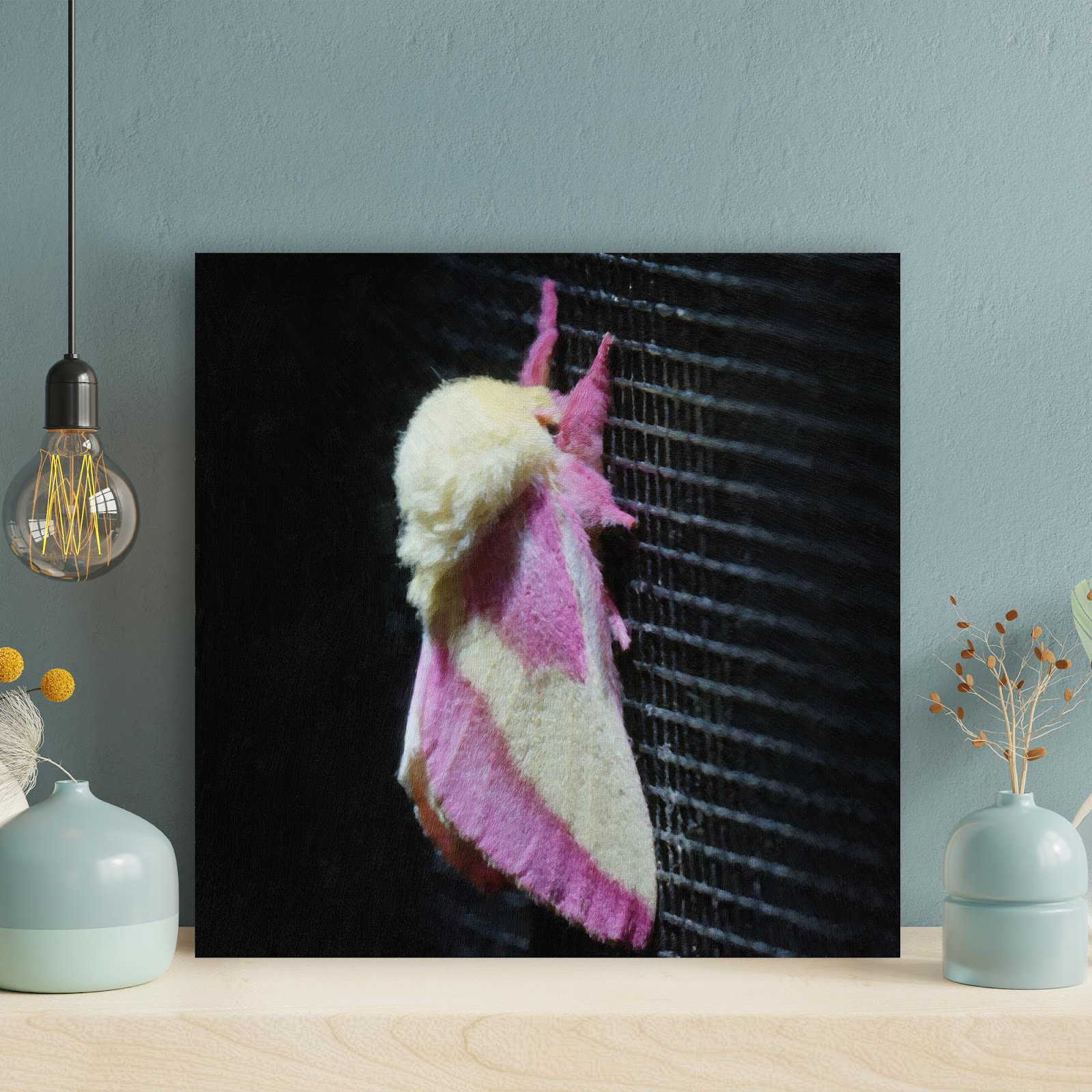 Rosalind Wheeler Shallow Focus Photography Of Pink And Yellow Moth ...