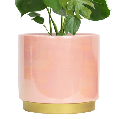 large pink planters
