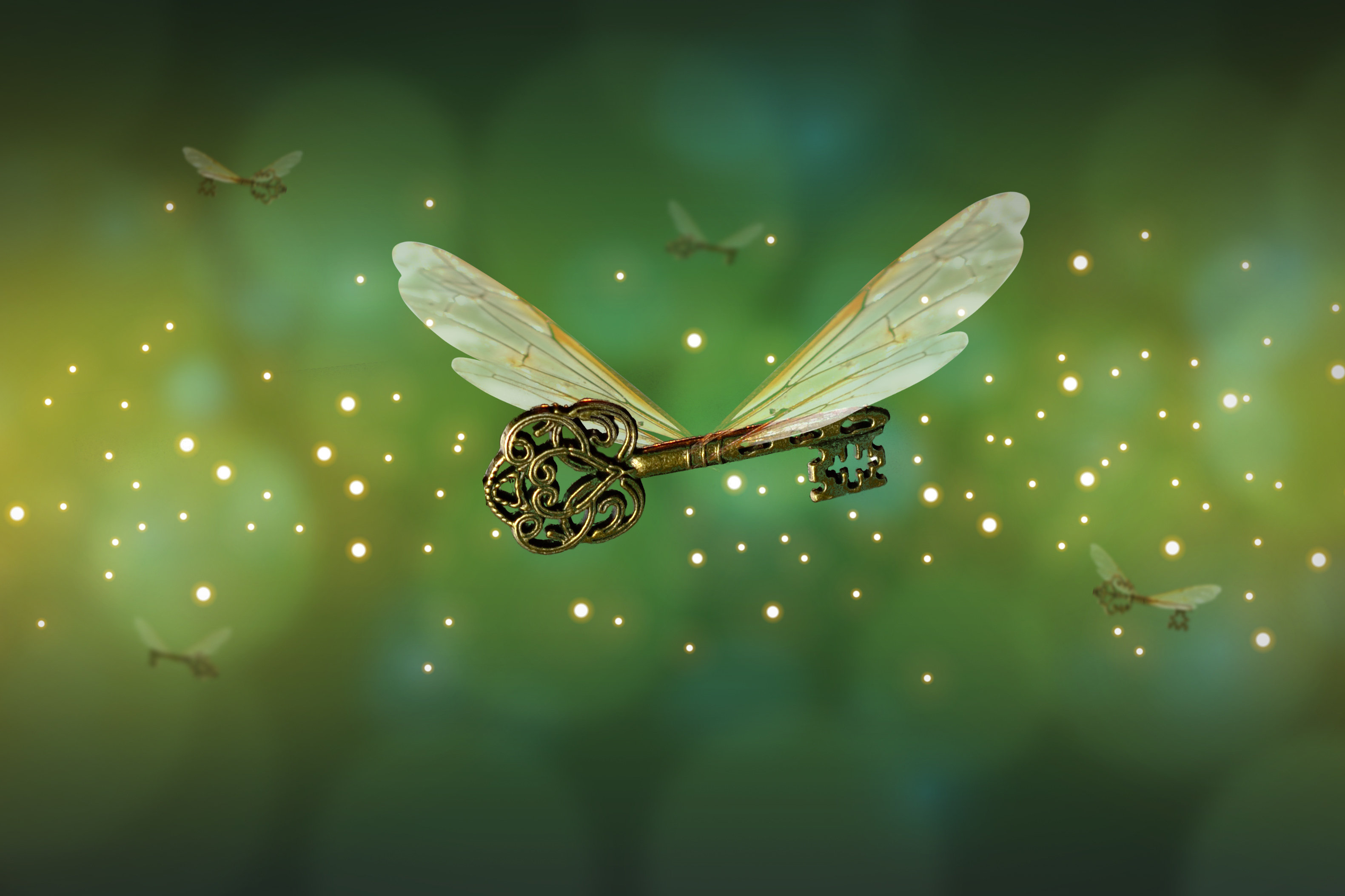 Hokku Designs Key With Dragonfly Wings - Wayfair Canada
