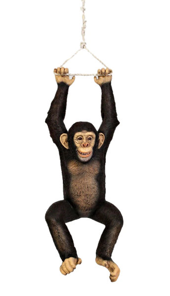 Bungalow Rose Sarsour Monkey Chimpanzee Hanging On Rope Life Size | Wayfair