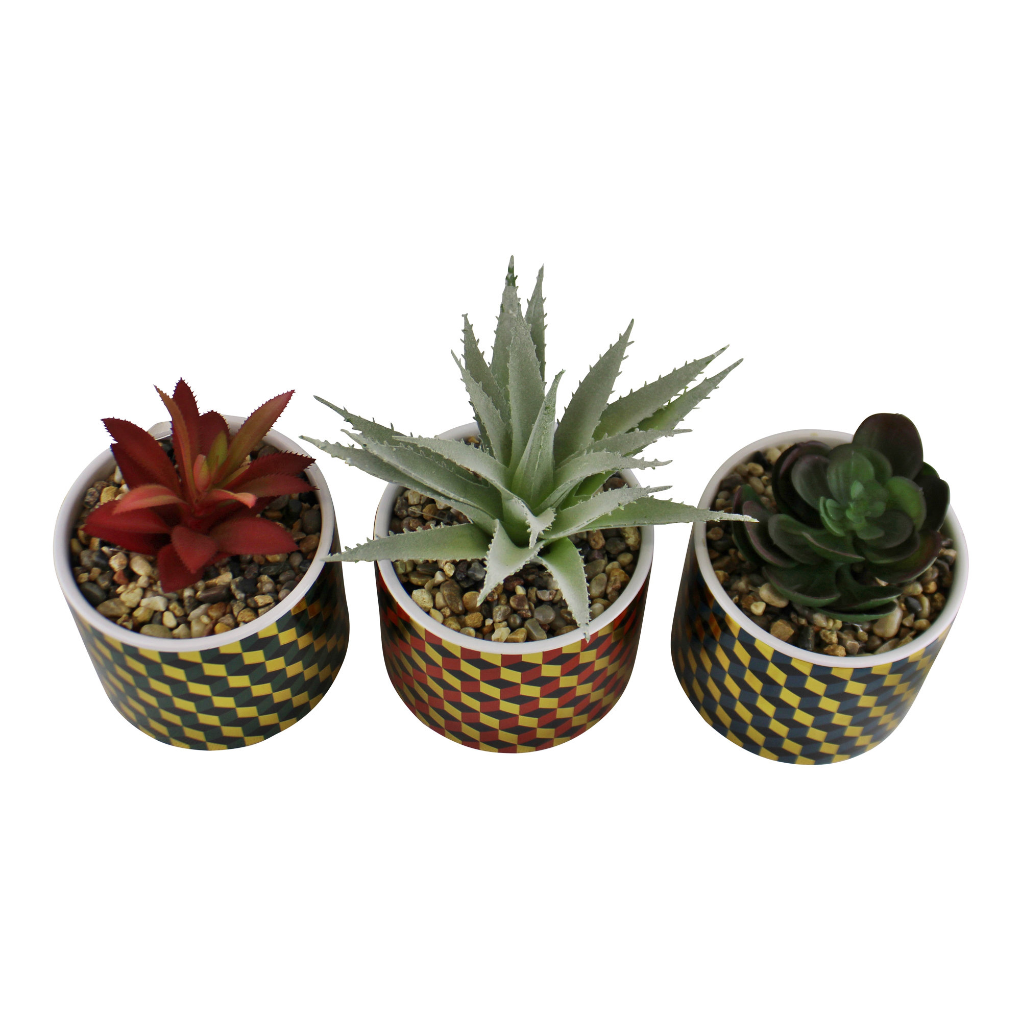 The Seasonal Aisle 3 - Piece Artificial Succulent Plant in Pot Set ...