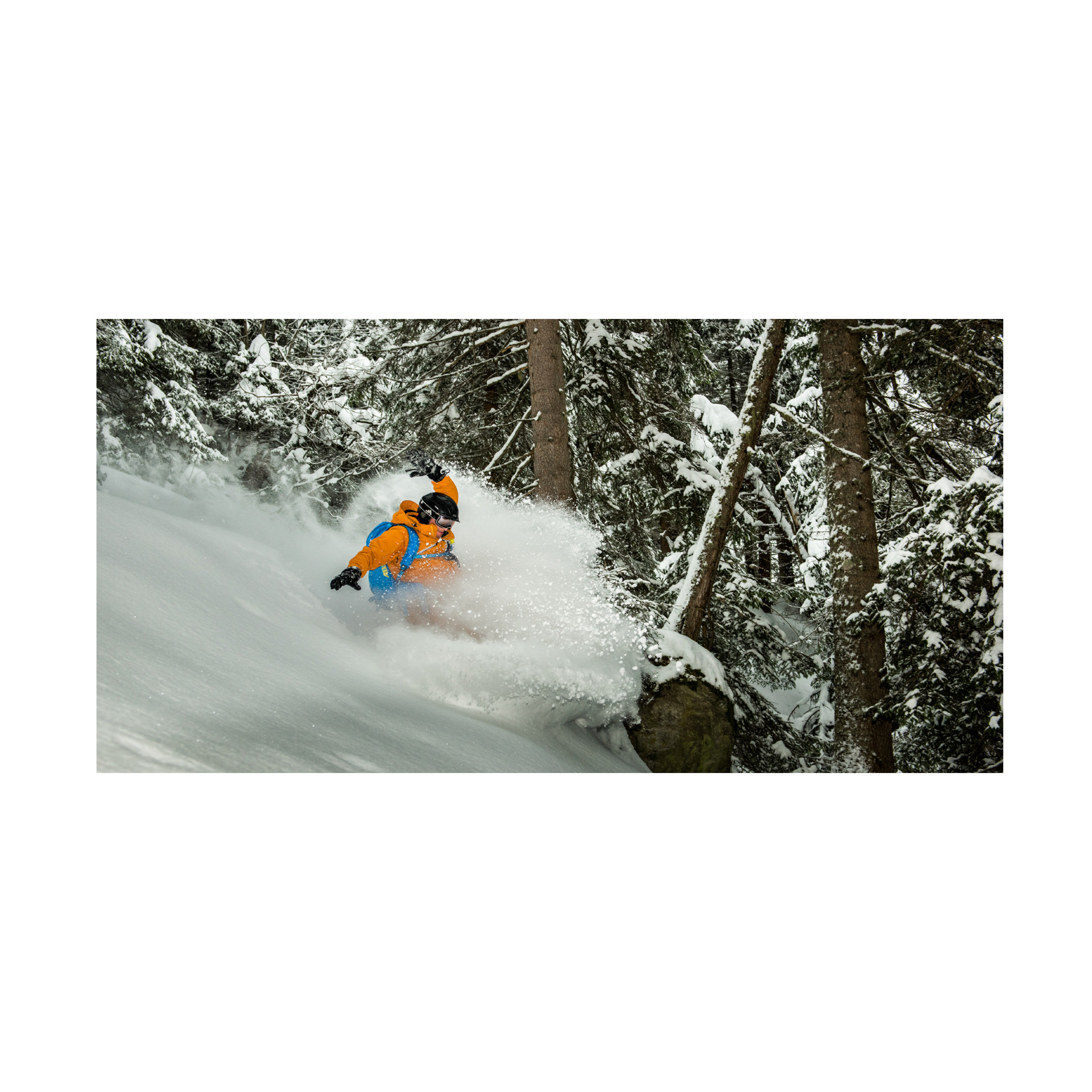 Ebern Designs Eric Verbiest Stylish Through The Woods With Jurgen ...