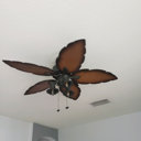 Beachcrest Home Calypso 52"Weather Resistant Ceiling Fan with Light ...