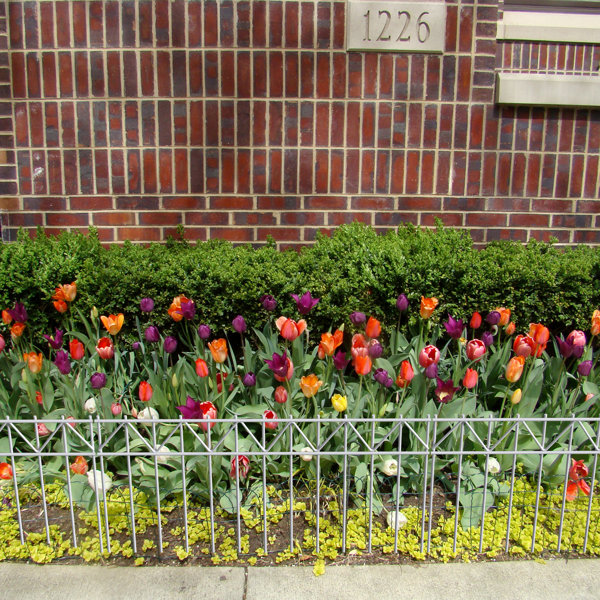 EFPerfect 15'' H x 24'' W Animal Anti-digging Barrier Fence Rustproof ...