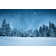 Alpen Home Winter Forest by Borchee - Wrapped Canvas Art Prints ...