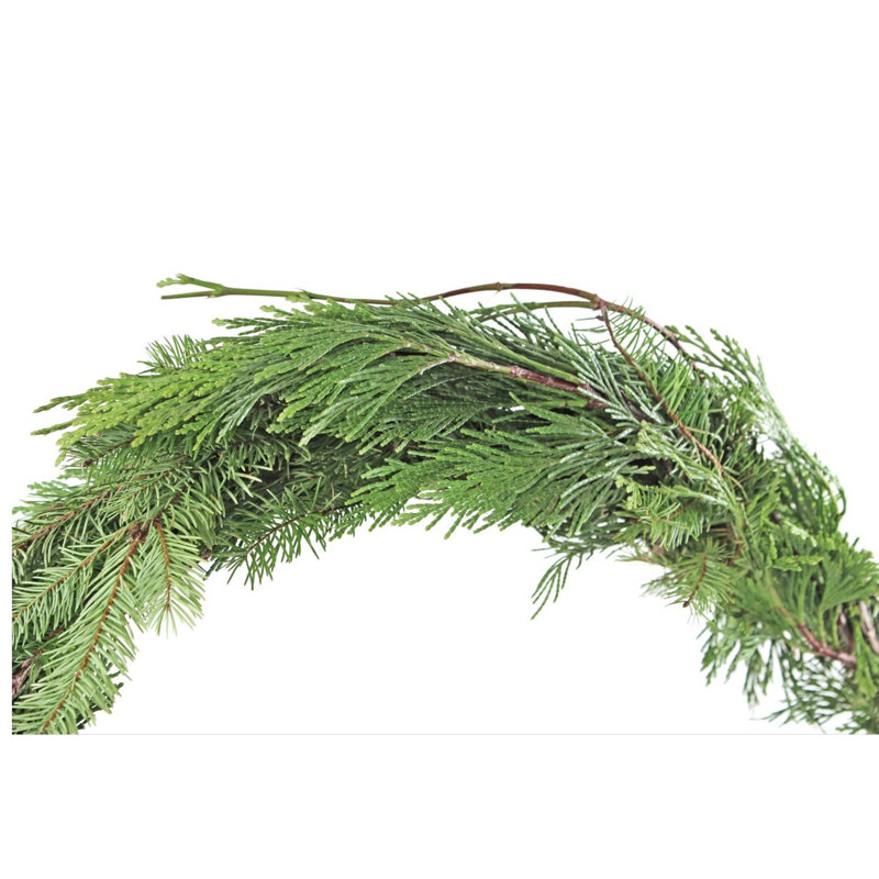 Primrue 300'' in. Fresh Mixed Assortment Garland | Wayfair