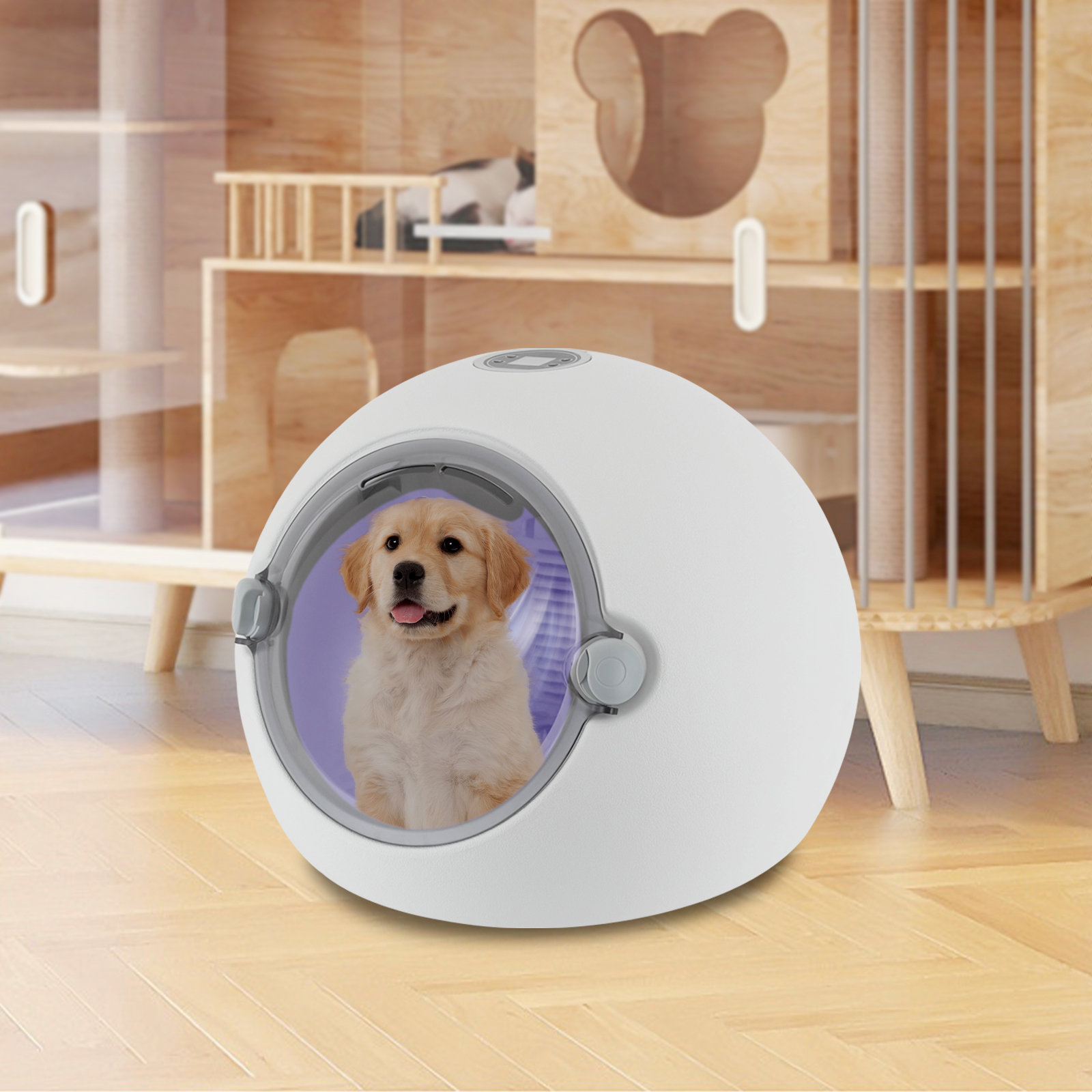 OUKANING 600W Electric Pet Dryer Box With Timing Function - Wayfair Canada