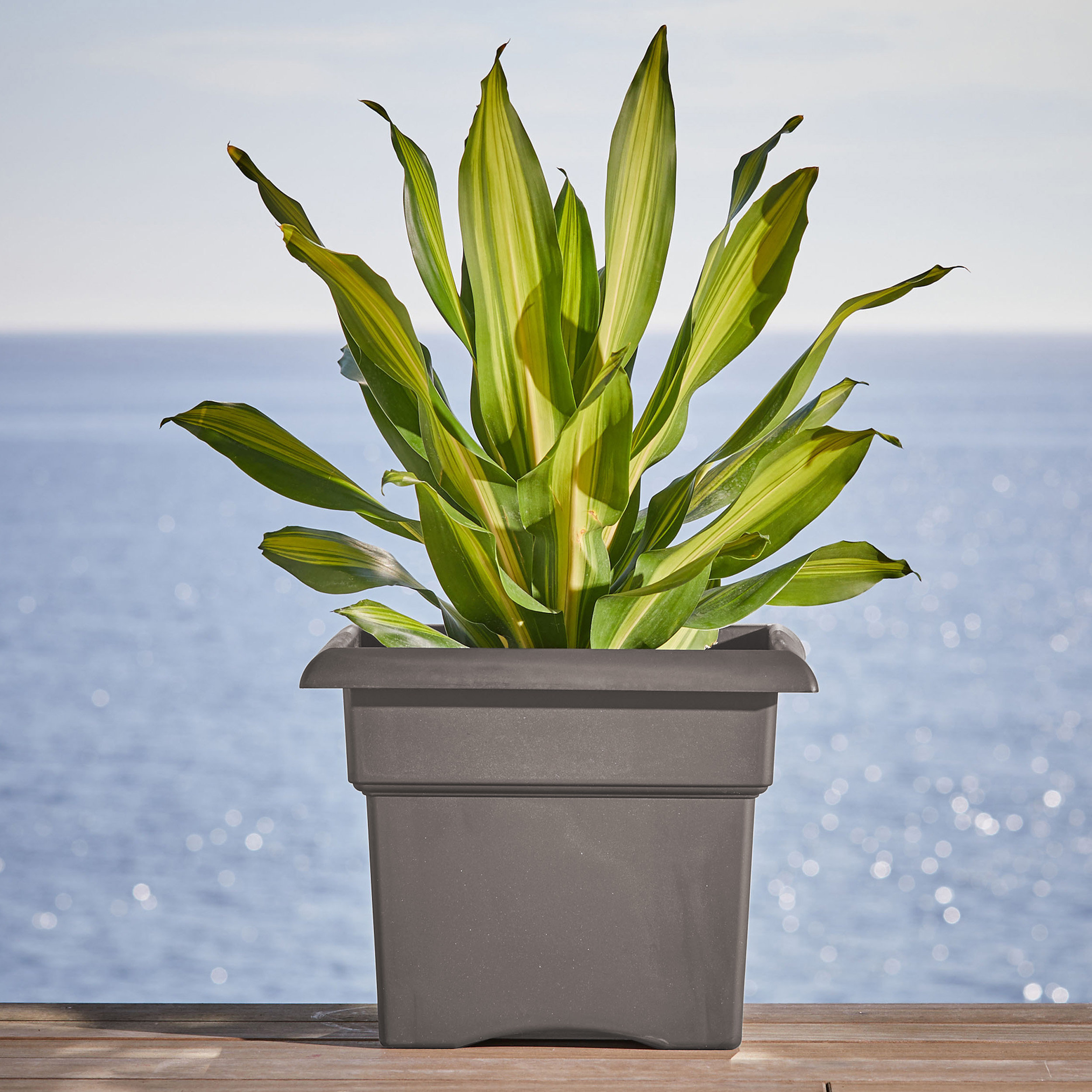 Winston Porter Veranda Traditional Plastic Square Indoor/Outdoor Deck ...