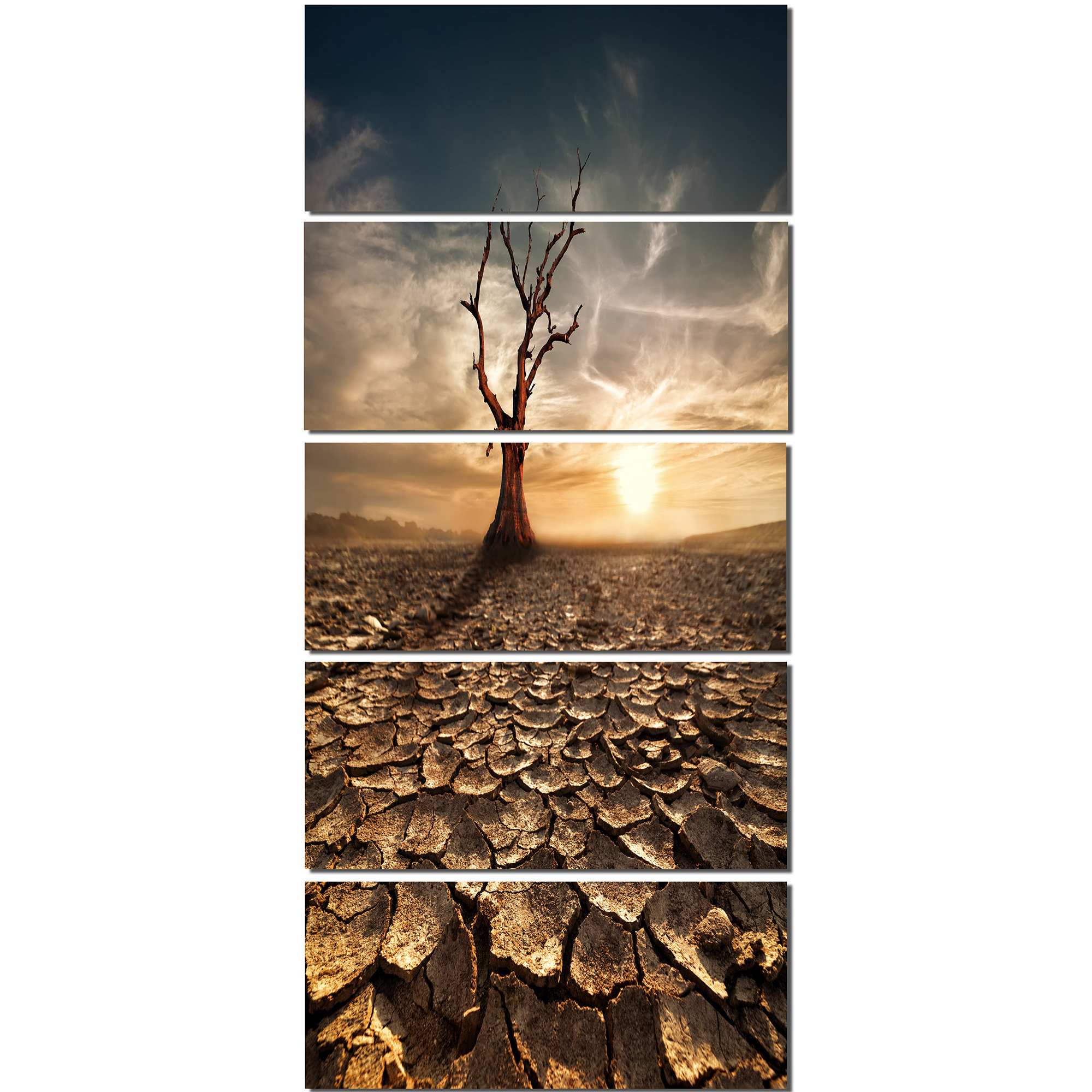 Design Art 'Lonely Dead Tree in Cracked Land' 5 Piece Photographic ...