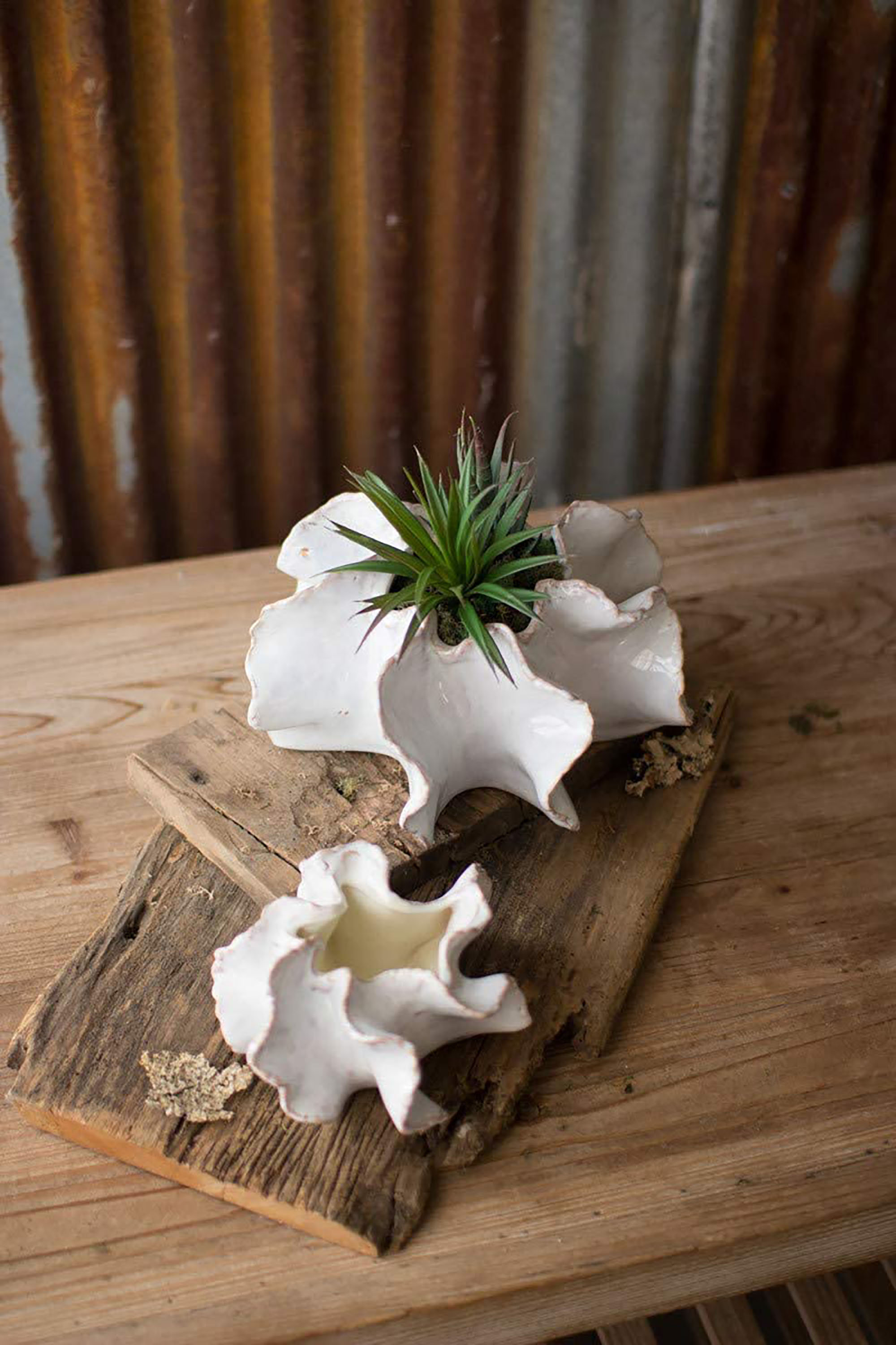 Ivy Bronx Organic Ceramic Planters, Set Of Two - Wayfair Canada