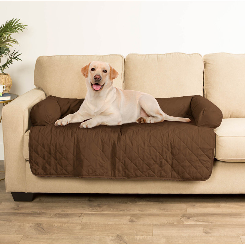 Red Barrel Studio® Aolany Bolster Pet Sofa Slipcover & Reviews | Wayfair