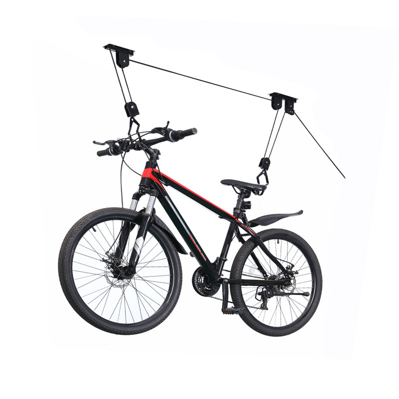 WFX Utility™ Aladfar Ceiling Bike Hoist -2 Pack & Reviews | Wayfair