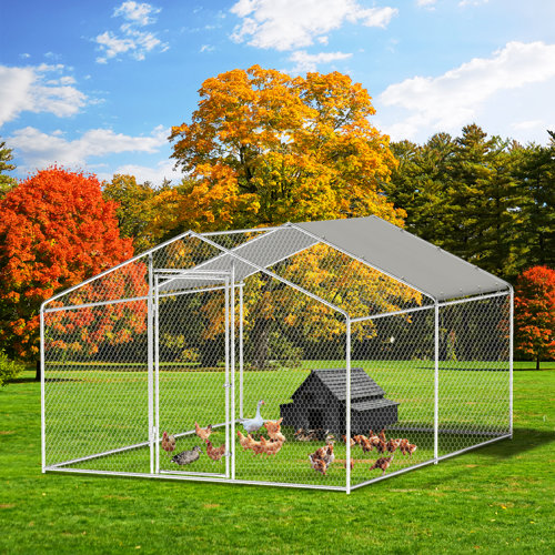 Extra Large Chicken Coops You'll Love | Wayfair