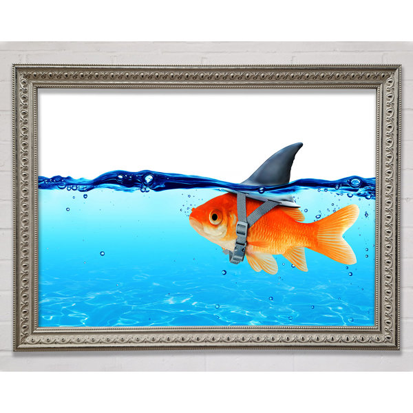 Highland Dunes Silverfish Shark Framed Print | Wayfair.co.uk
