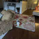 Red Barrel Studio® Leroi Floral Handmade Tufted Red/Pink Area Rug ...