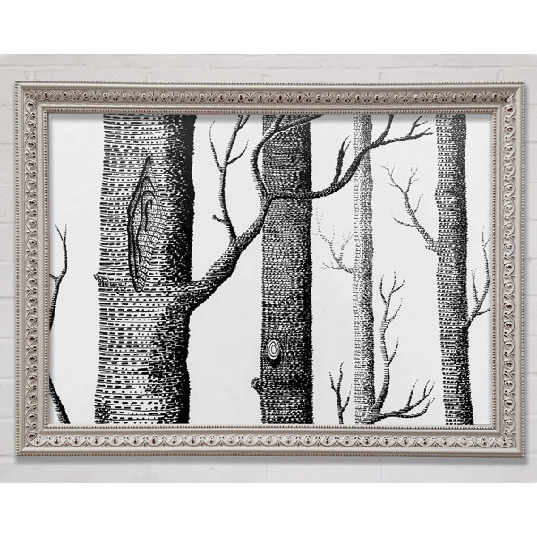 Bright Star White And White Tree Trunks - Single Picture Frame Art ...