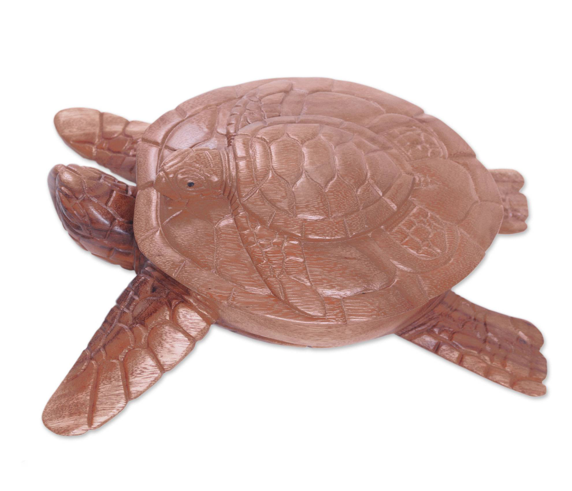 Charlton Home Fausta Turtle Secret Wood Decorative Box - Wayfair Canada
