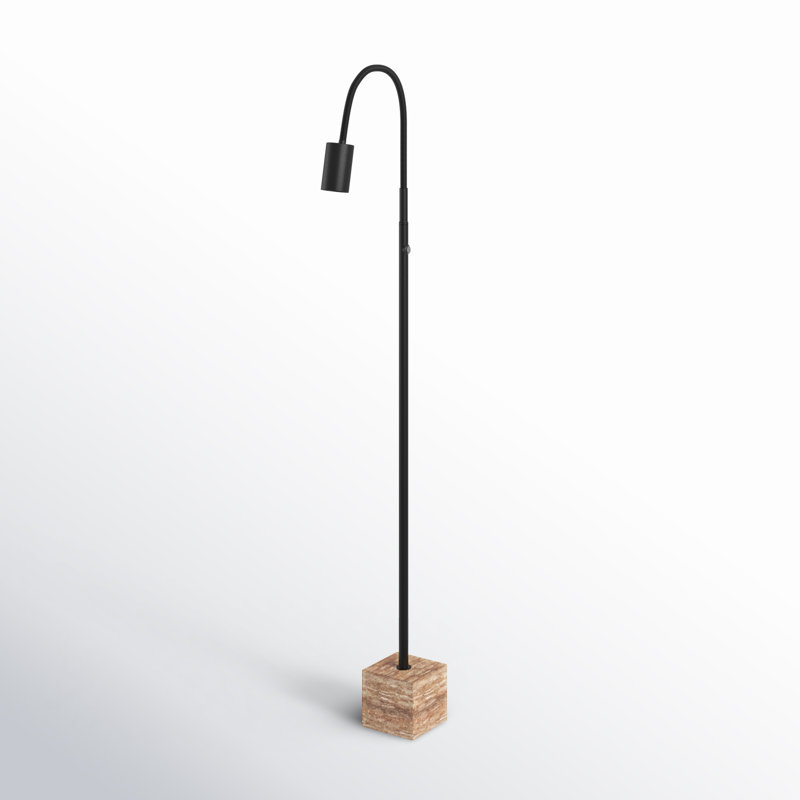 AllModern Calisto 59'' Black Task/Reading Floor Lamp & Reviews | Wayfair