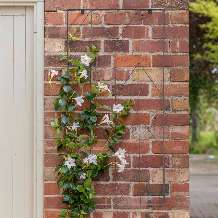 Lark Manor Outdoor Herringbone Trellis Zinc H120cm W60cm | Wayfair.co.uk