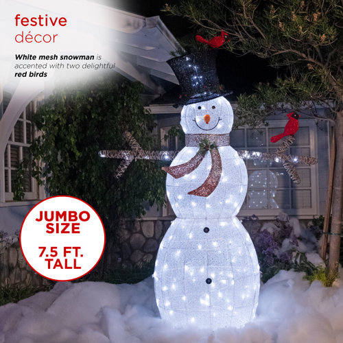 The Holiday Aisle® Snowman Lighted Display & Reviews | Wayfair