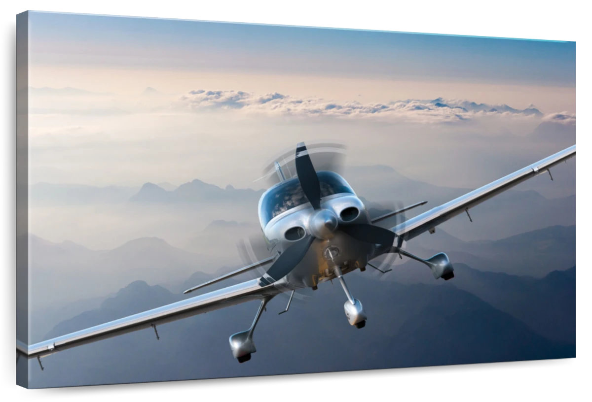 Elephant Stock Private Propeller Plane | Wayfair