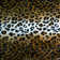 Beaumont 50cm Leopard Print Storage Ottoman & Reviews | Wayfair.co.uk