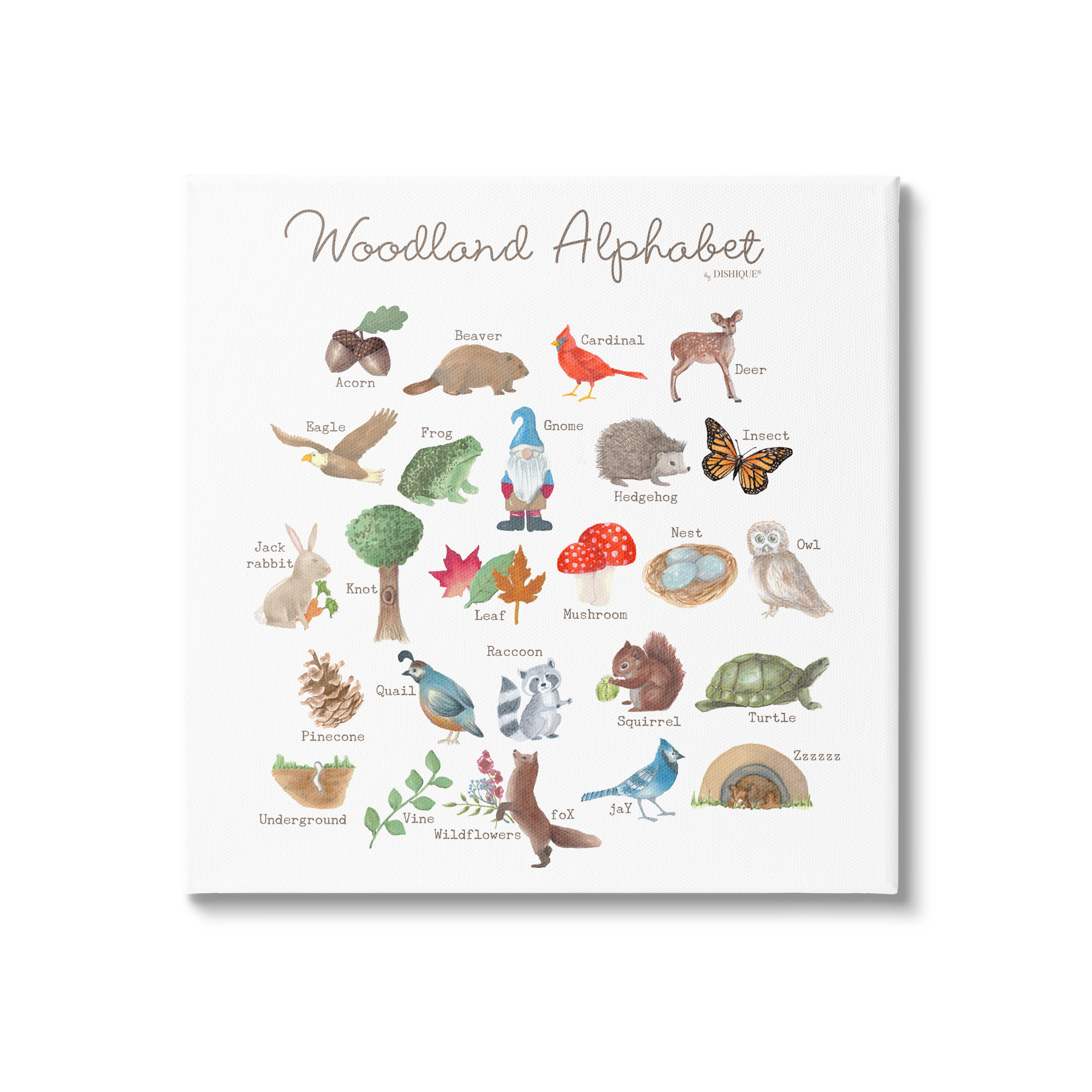 Stupell Industries Woodland Alphabet Wildlife Botanicals Learning ...