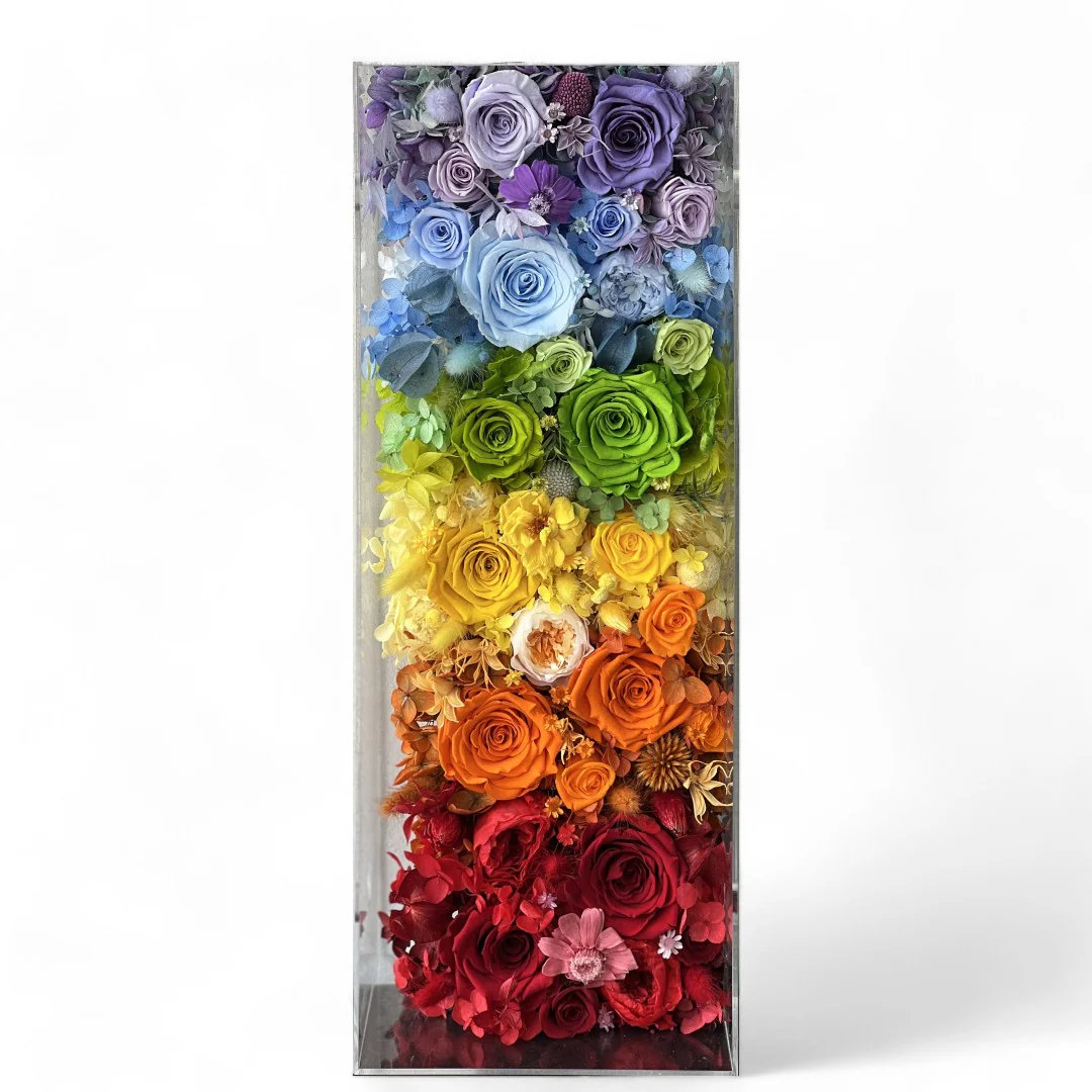 Petals And Spring Large Rainbow Rose Box - Wayfair Canada