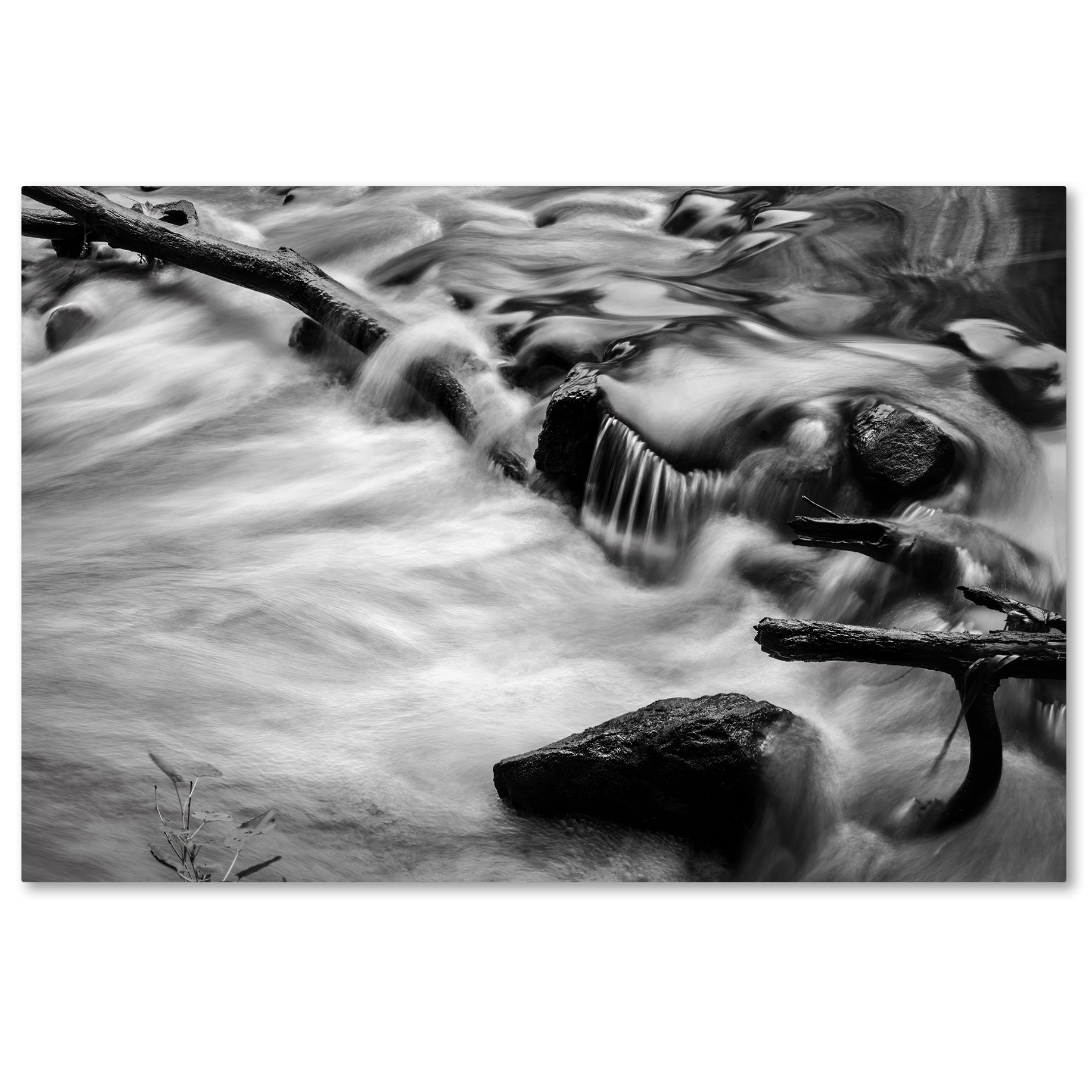 Trademark Fine Art 'Black River' by Jason Shaffer Photographic Print on ...