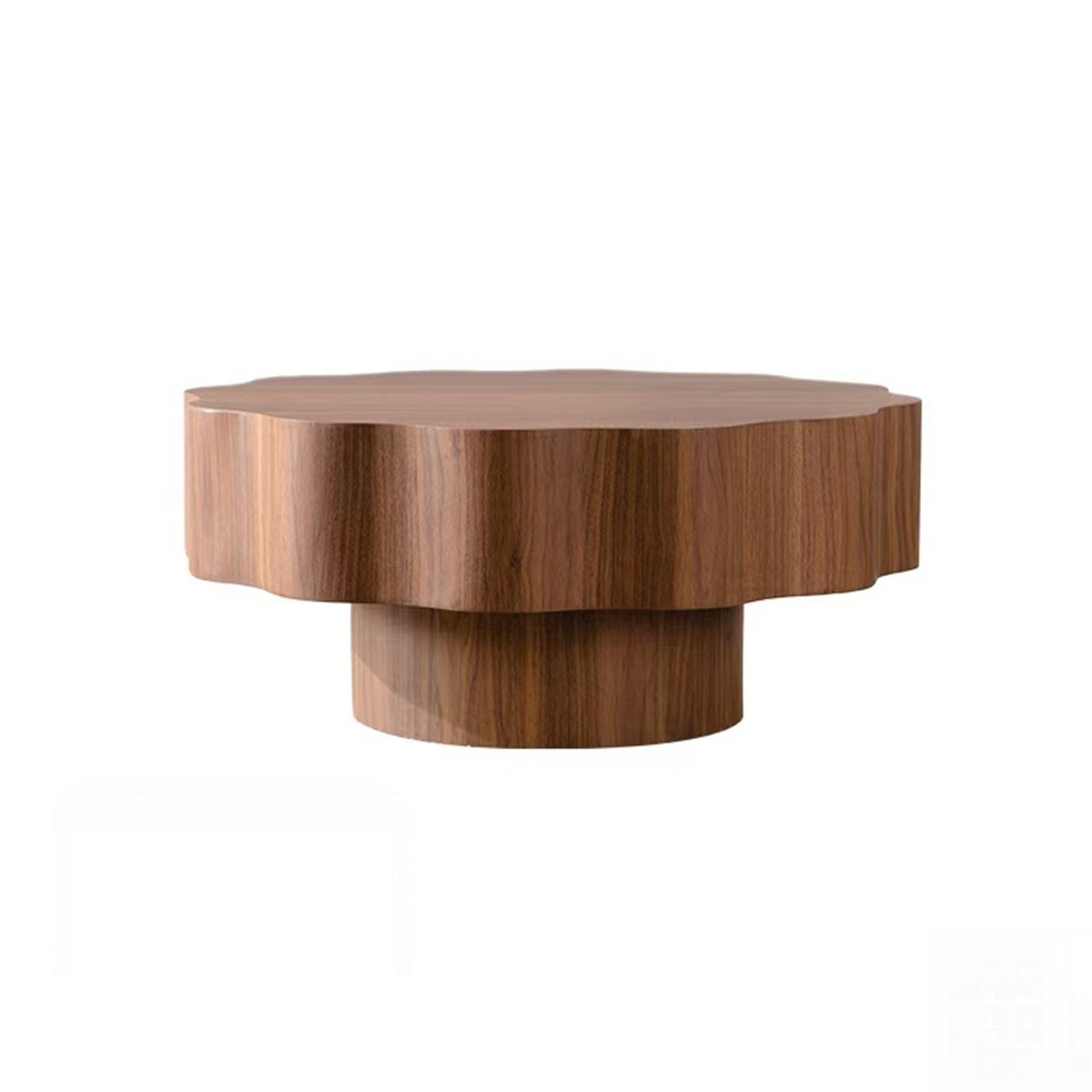Ivy Bronx Irregular Shaped MDF Coffee Table with Open Storage, Easy ...