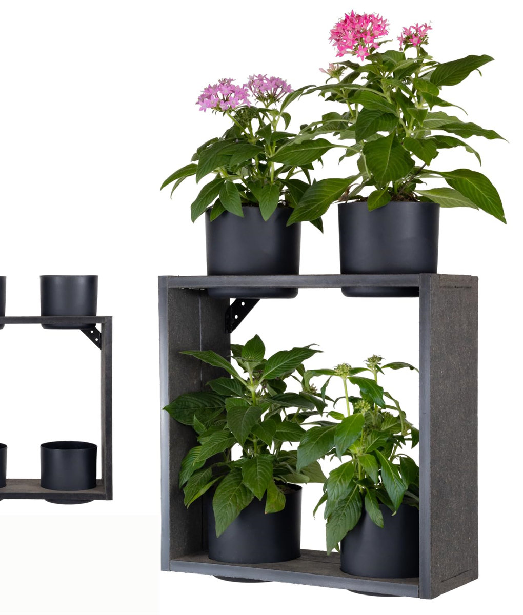 Wade Logan® Cimitrio Wall Hanging Plant Holder Window Plant Shelves ...