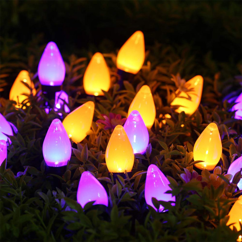 The Holiday Aisle® C7 Bulbs Halloween String Lights 50 LED 24Ft ...