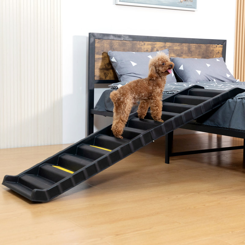 Tucker Murphy Pet™ 61'' Diovanni Portable folding Dog Stairs with Anti ...