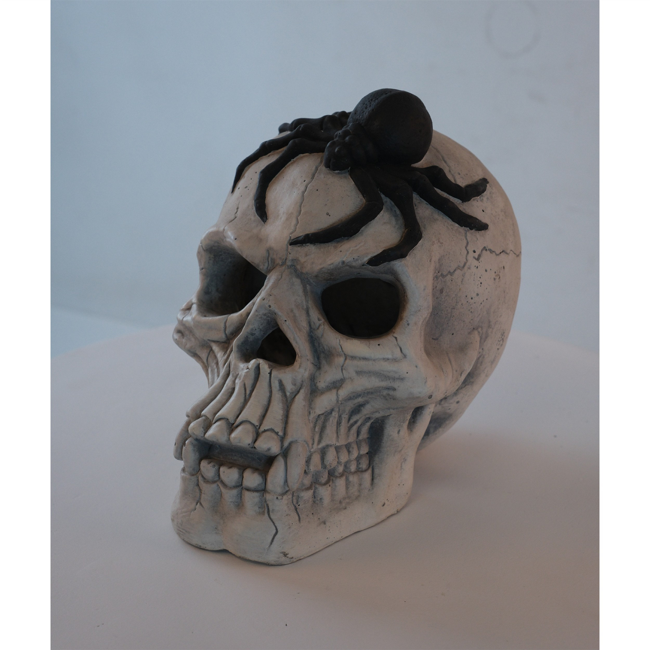 The Holiday Aisle® Fire Resistant Fire Pit Skulls for Outdoor ...