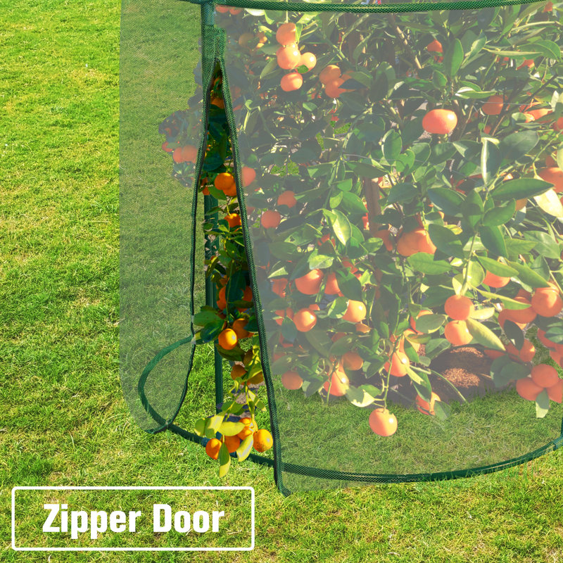 Aoodor Crop Cage 10' x 3.3' x 5' Plant Protection Tent, Fruit Cage ...