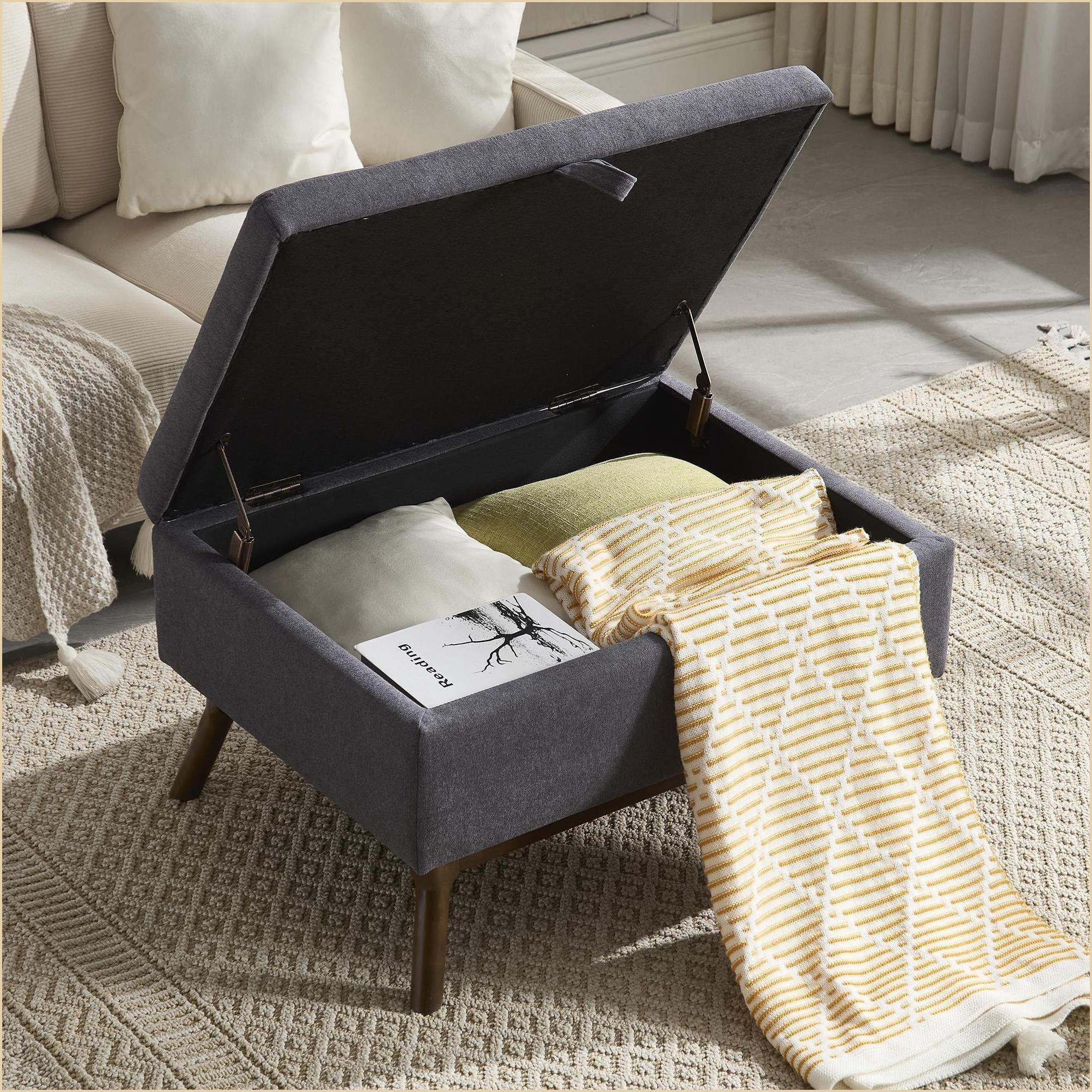 George Oliver Ottoman with Storage - Mid-Century Modern for Living Room ...