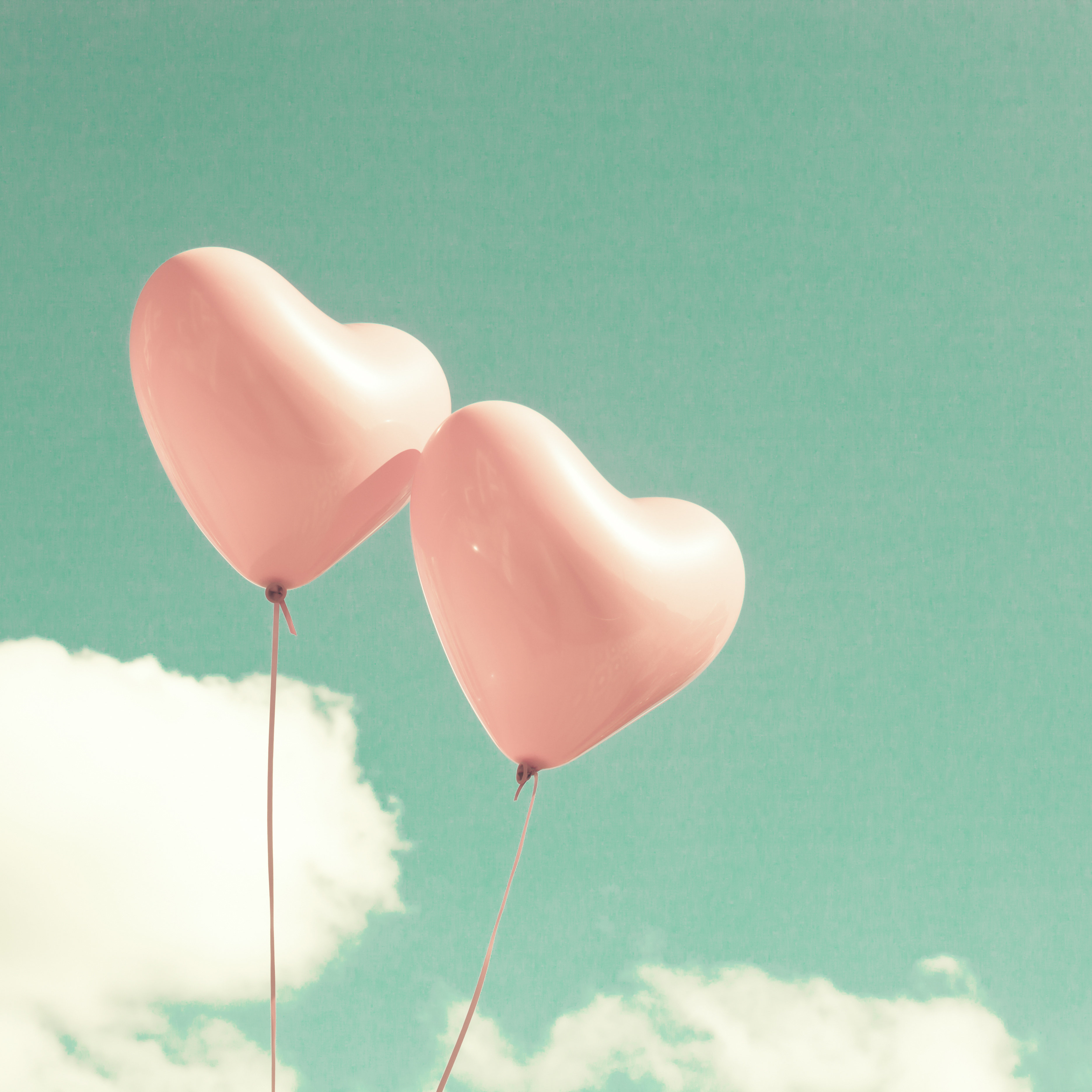 ModernMoments Two Hearts by Andreka - Wrapped Canvas Photograph ...