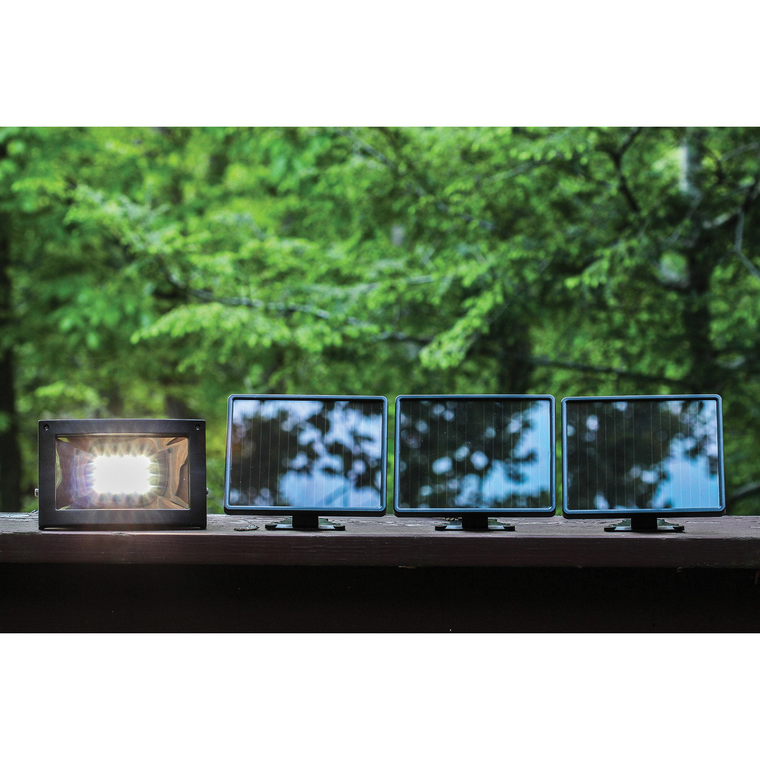 Maxsa Innovations Black Solar Powered Integrated LED Flood Light | Wayfair