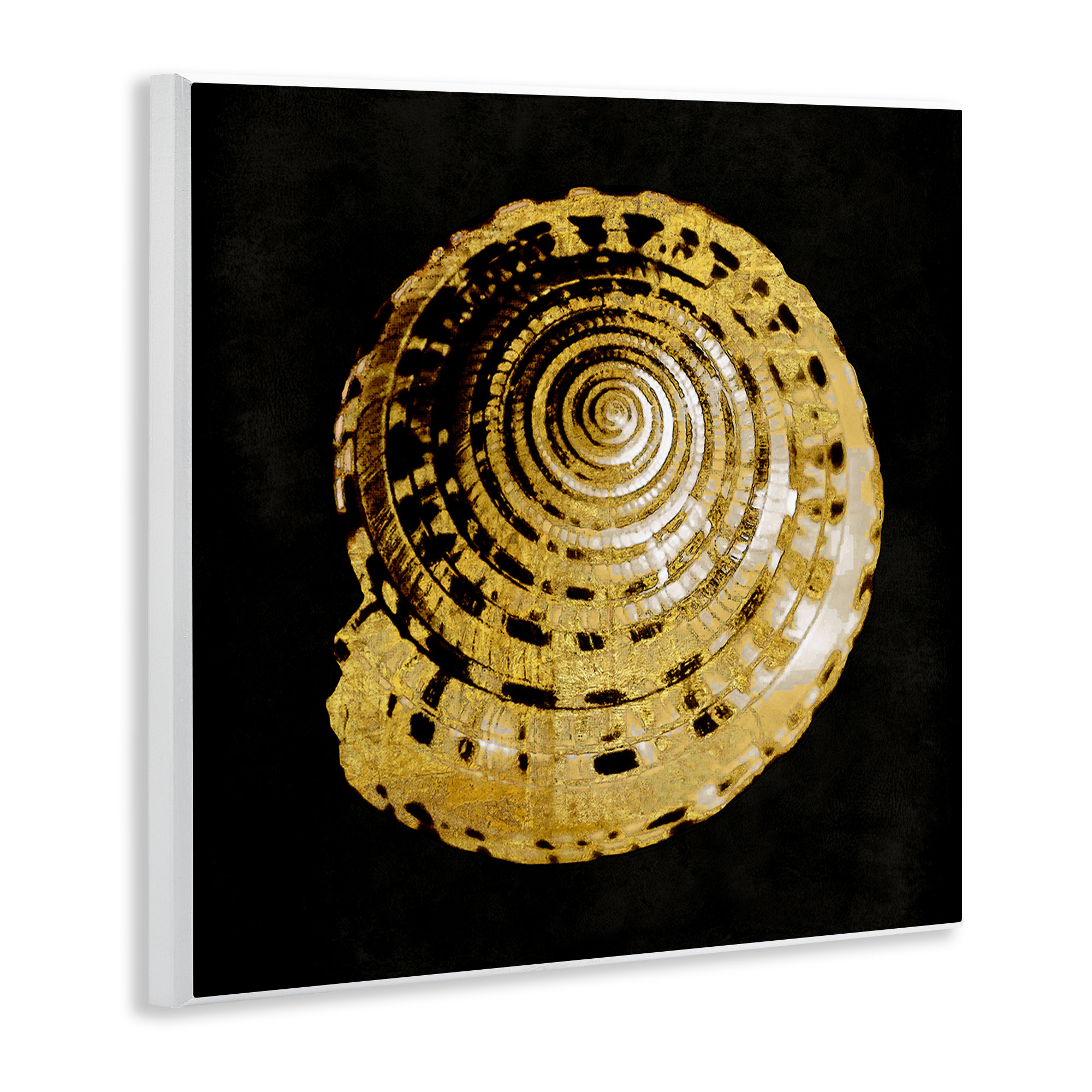 Ebern Designs Gold Spiral Shell Wall Plaque Art by Caroline Kelly | Wayfair