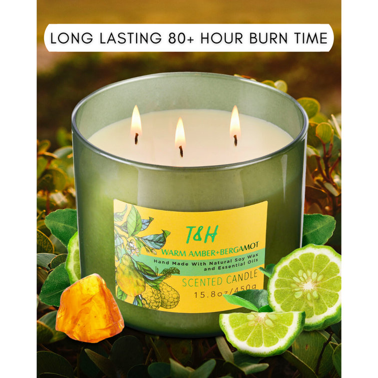 Symple Stuff Warm Amber Bergamot Scented Candle - Wayfair Canada