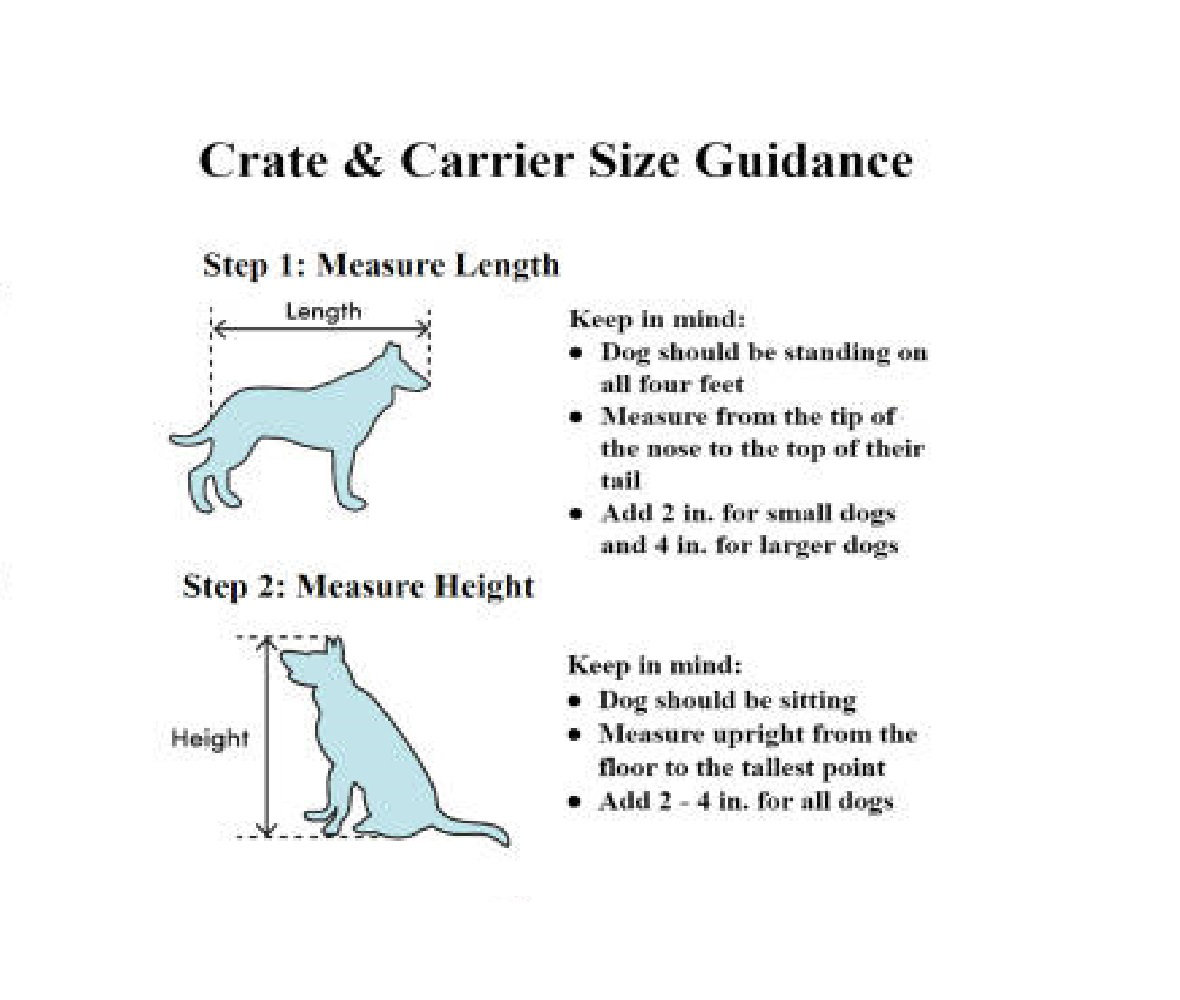 Tucker Murphy Pet™ Andrew Gator Pet Carrier - Wayfair Canada