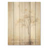 Ophelia & Co. African Beige Tree Minimalism - Tree African Wood Art On ...