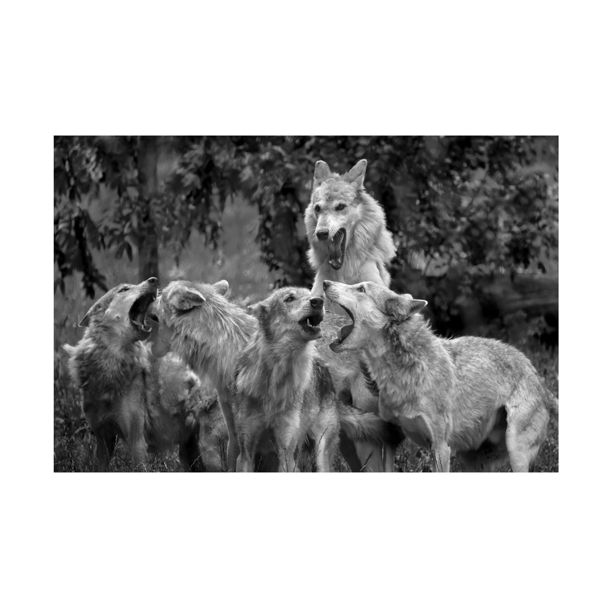 Trademark Fine Art Sebastian Graf The Sopranos Canvas Art | Wayfair