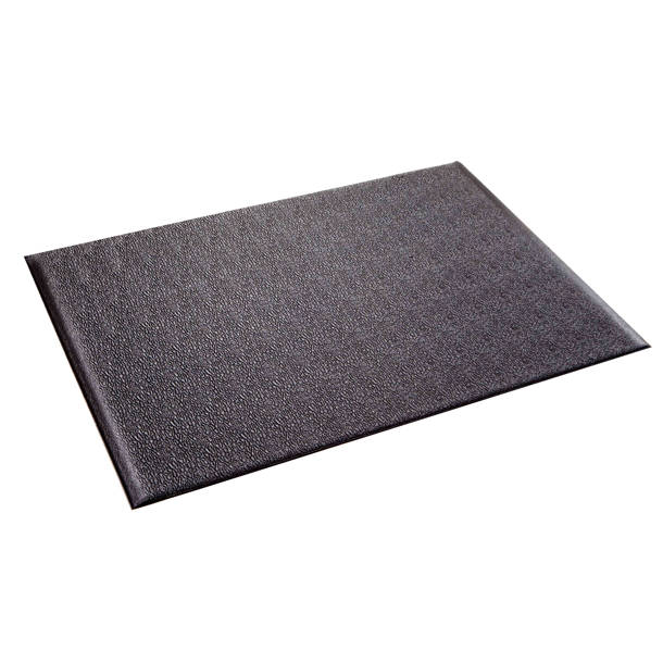 Symple Stuff Outdoor Doormat & Reviews | Wayfair