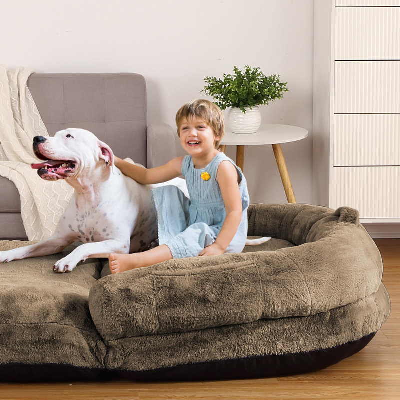 large dog bed