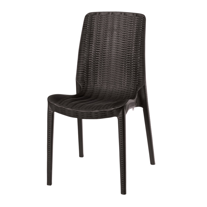 Lagoon Rue Resin Dining Chair & Reviews | Wayfair