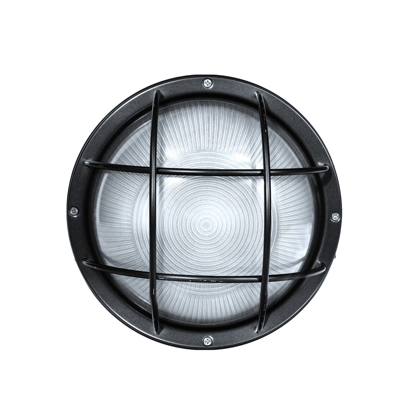 Cocoweb Winton 1 -Bulb Outdoor Bulkhead Light | Wayfair